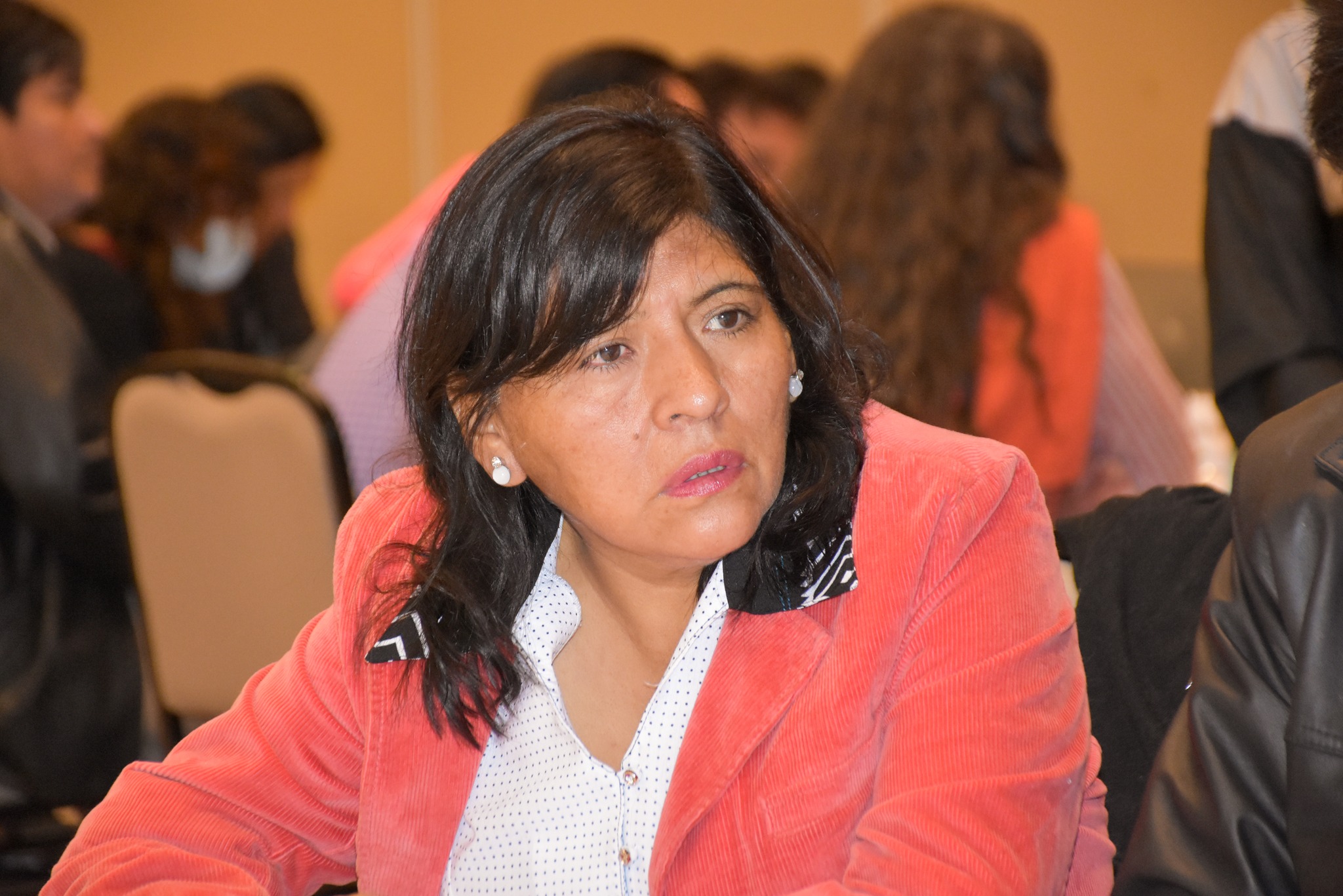 El Tribunal Supremo Electoral indica que continúan las actividades para ...