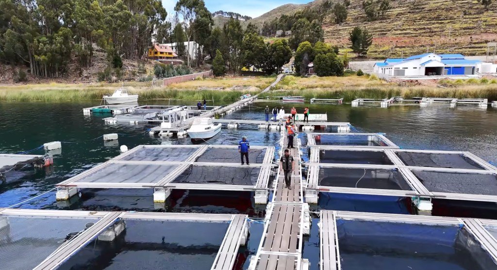 Desarrollo Rural inspecciona el Centro Piscícola de Tiquina y destaca ...